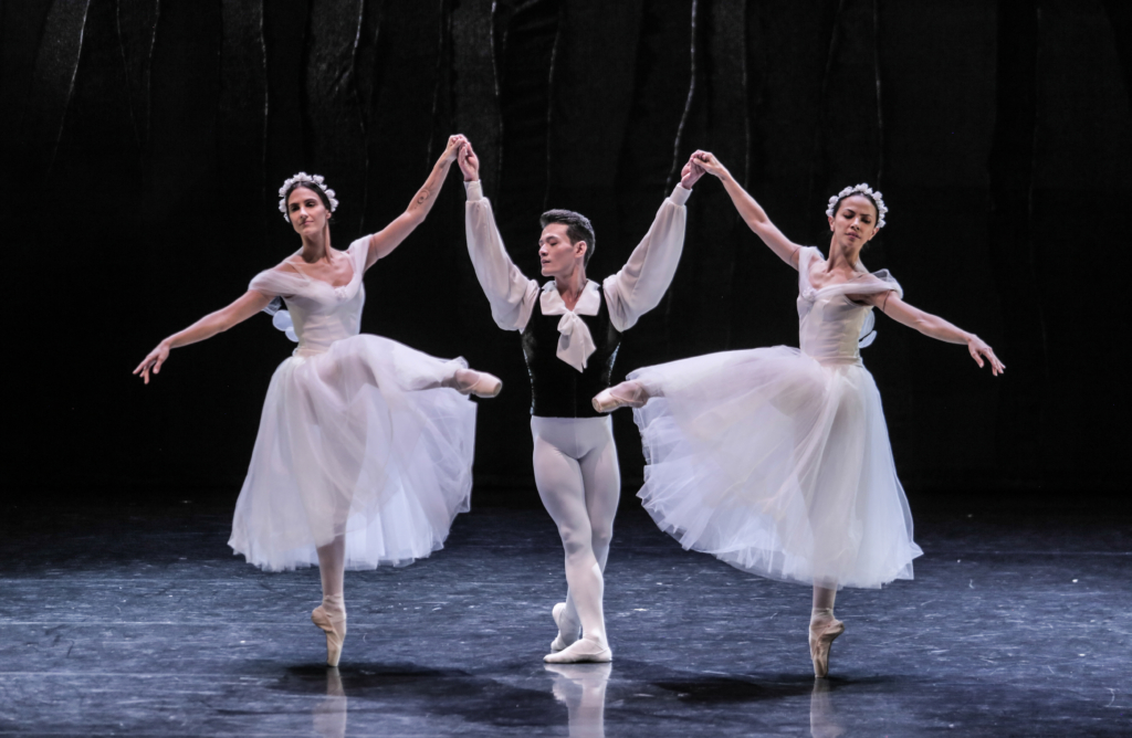 SPCD na Sala São Paulo - SPCD